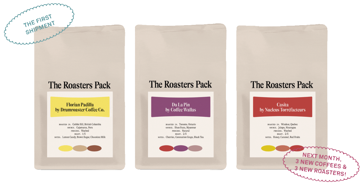 3x24oz - The Roasters Pack - Fruity & Complex (Light Roasts) - 12 Issu