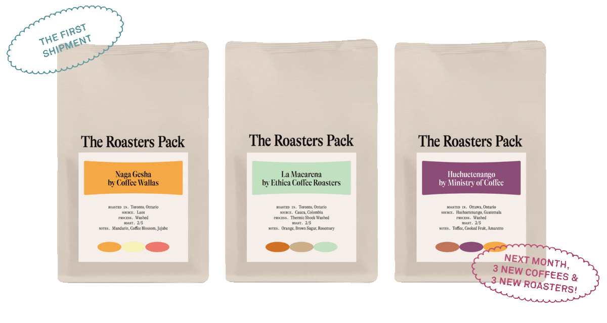 3x24oz - The Roasters Pack - Fruity & Complex (Light Roasts) - 1 Issue