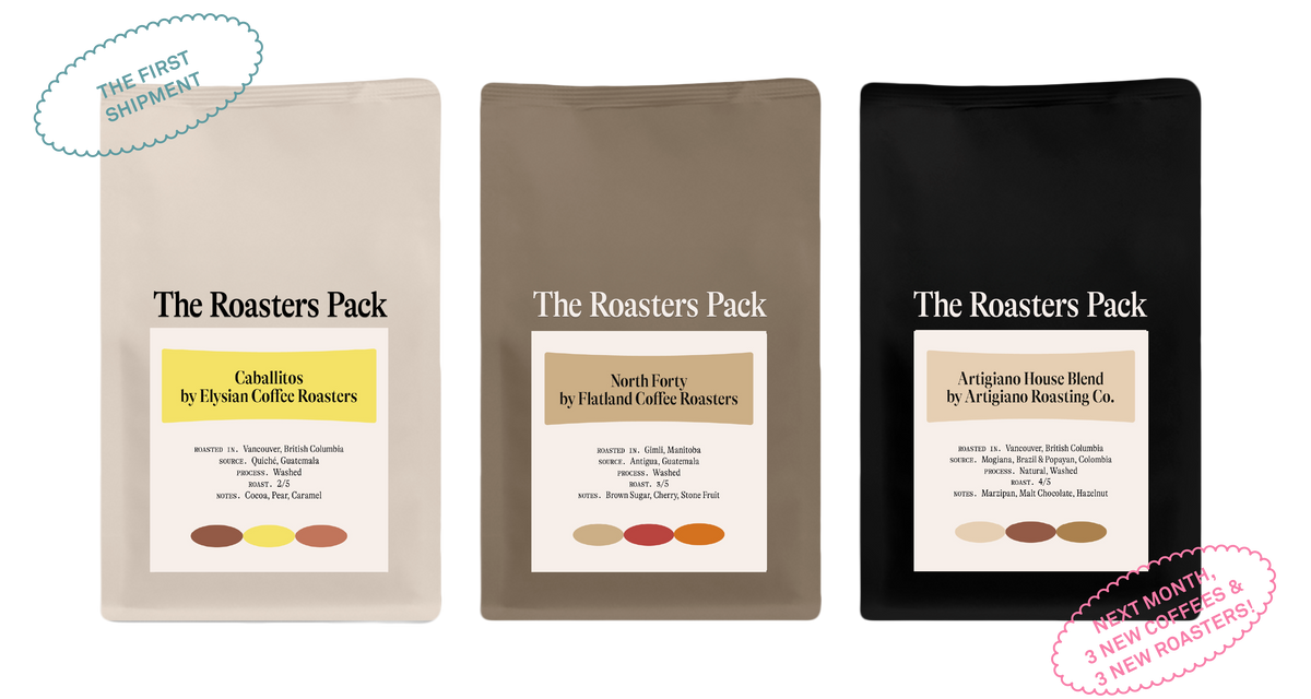 3x4oz - The Roasters Pack - Variety Pack (Light to Dark Roasts) - 6 Is