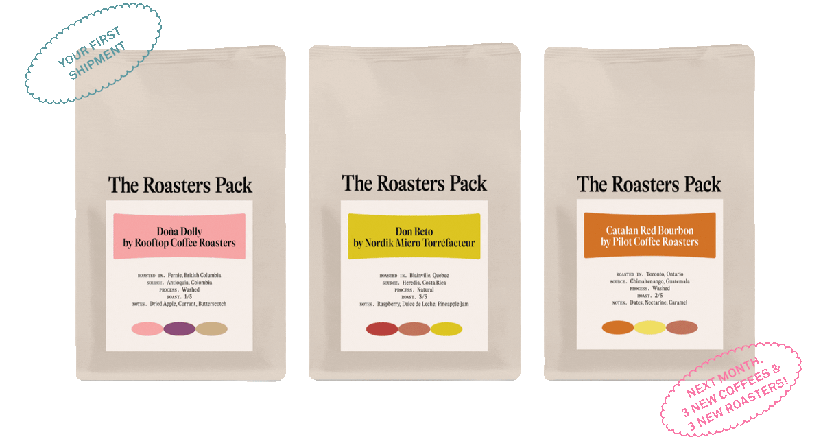 3x24oz - The Roasters Pack - Fruity & Complex (Light Roasts) - 6 Issue